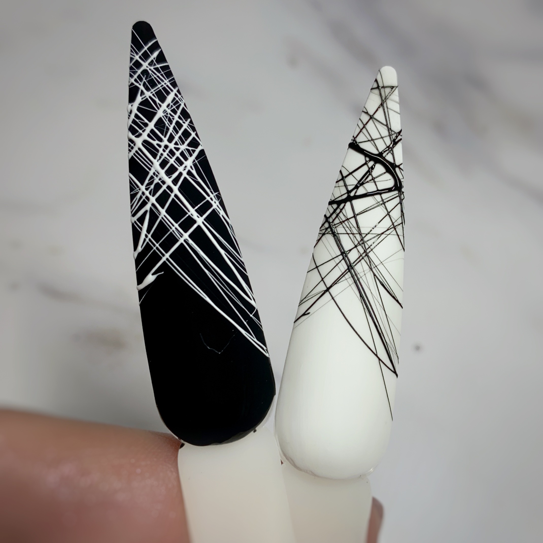 Spider Basic Black & White | Profiles Backstage